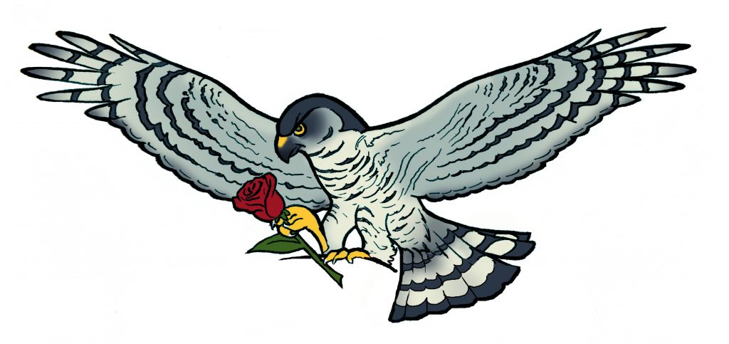 Who Will Sparhawk Admit? - Sparhawk Academy