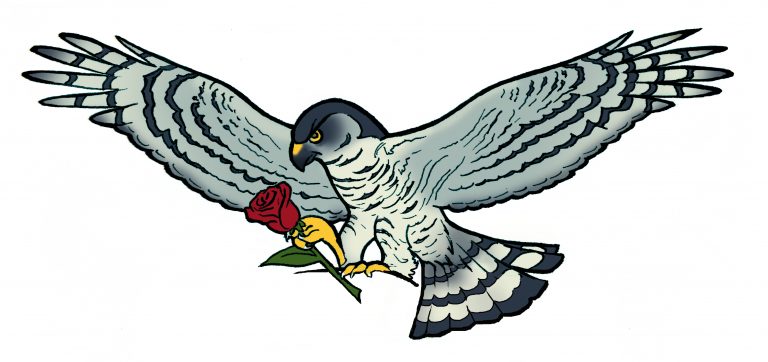 Admissions and Affording Sparhawk Academy