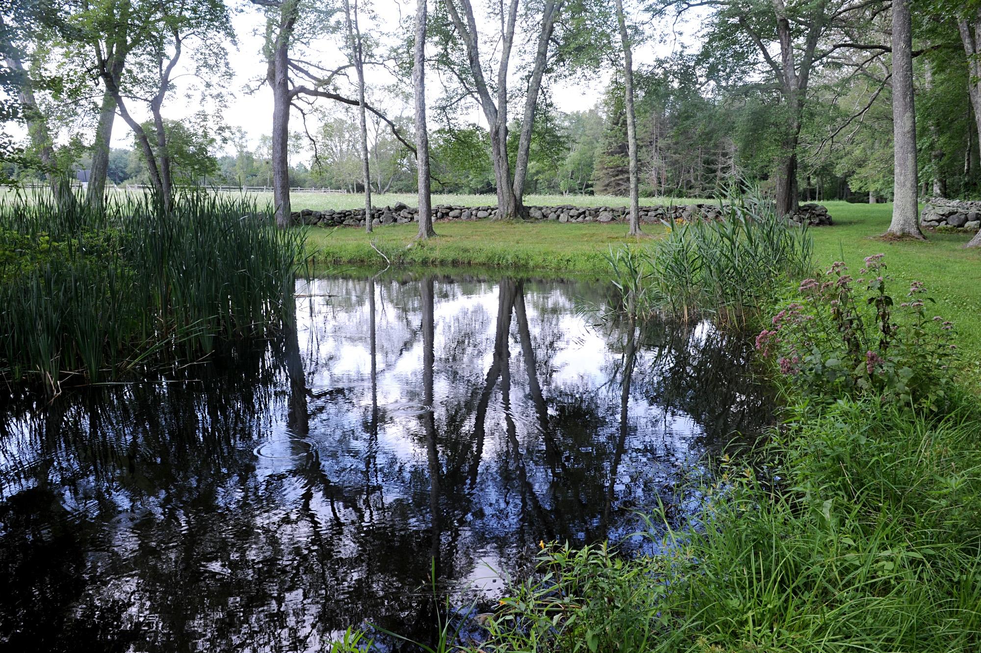 Sparhawk News - Sparhawk Academy