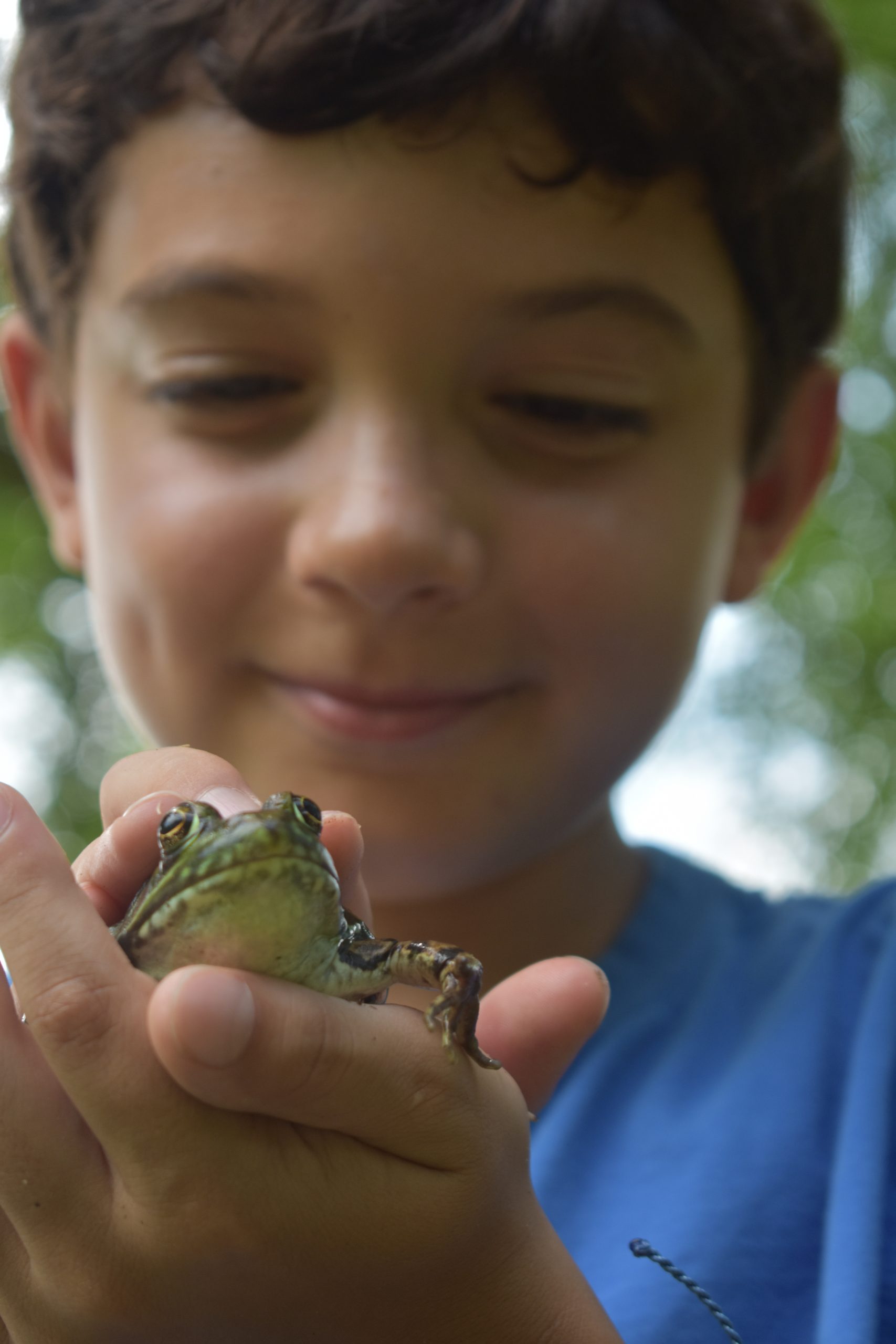 Sparhawk Summer Camps: Registration Now Open - Sparhawk Academy